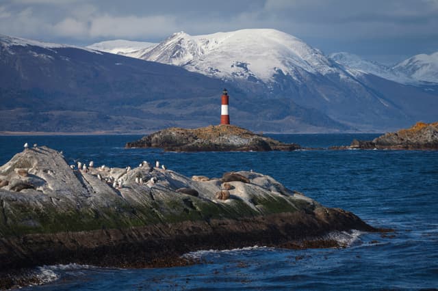 Explore the Falklands, South Georgia & Antarctic Odyssey