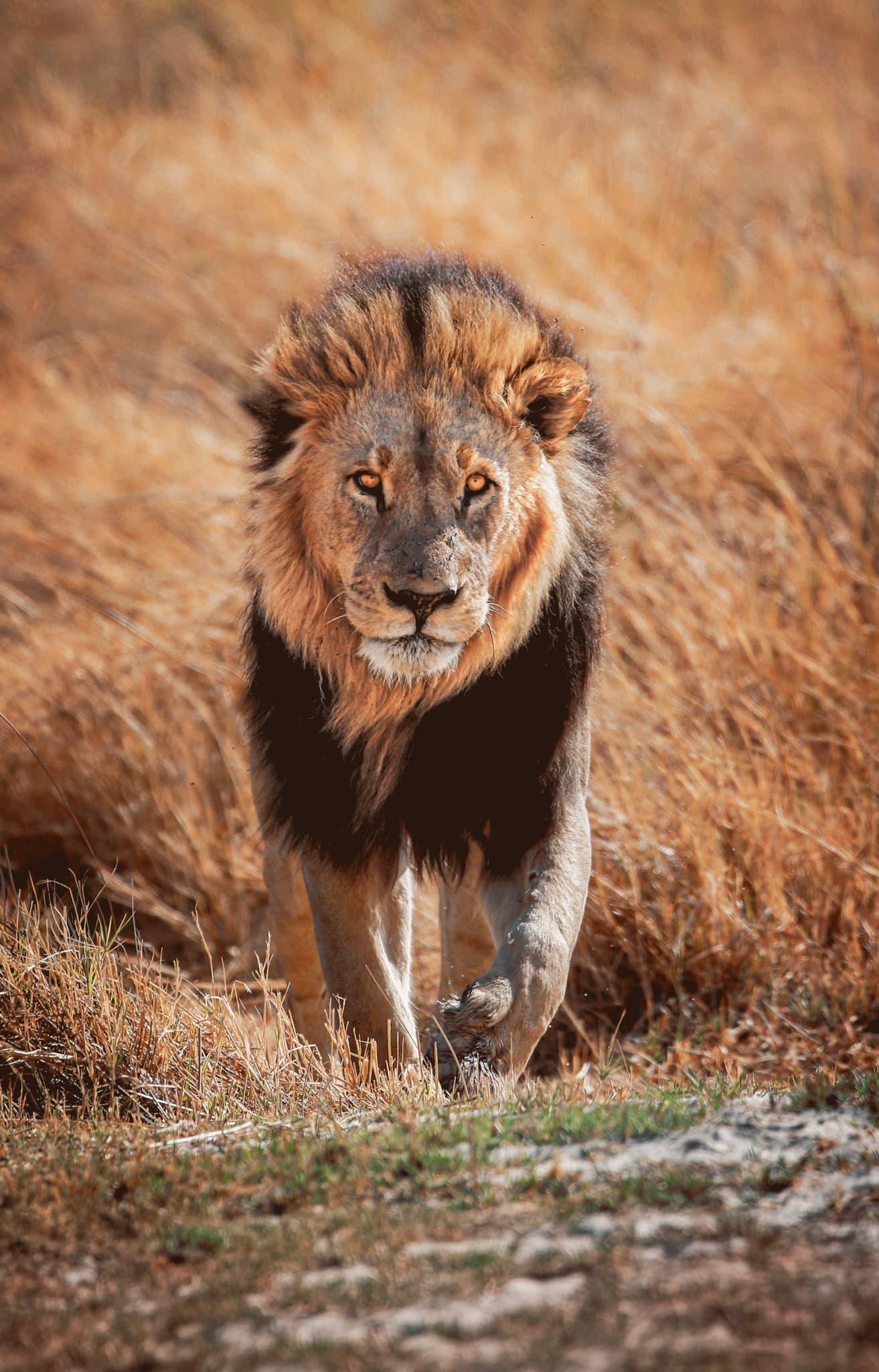 GeoEx Adventure Travel Company: Luxury Tours & Expeditions